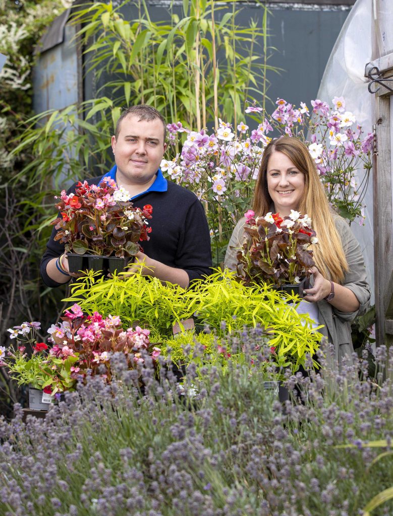 WALK - Rethink Ireland